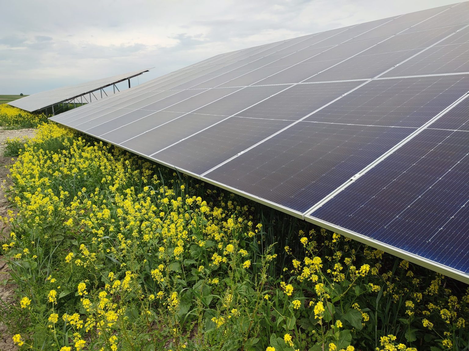 SUHINDOL SOLAR PROJECT - Evklips Group